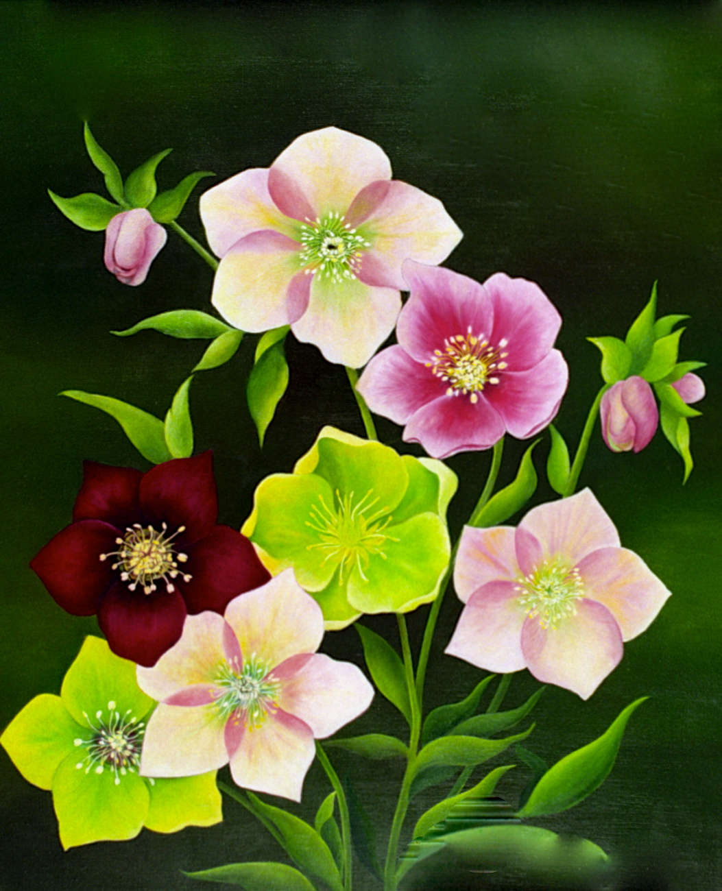 Daline, painter - Official website - Painter and designer